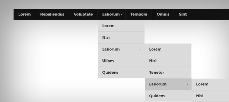 An In-Depth Look At Radio Buttons and Drop-Down Menus